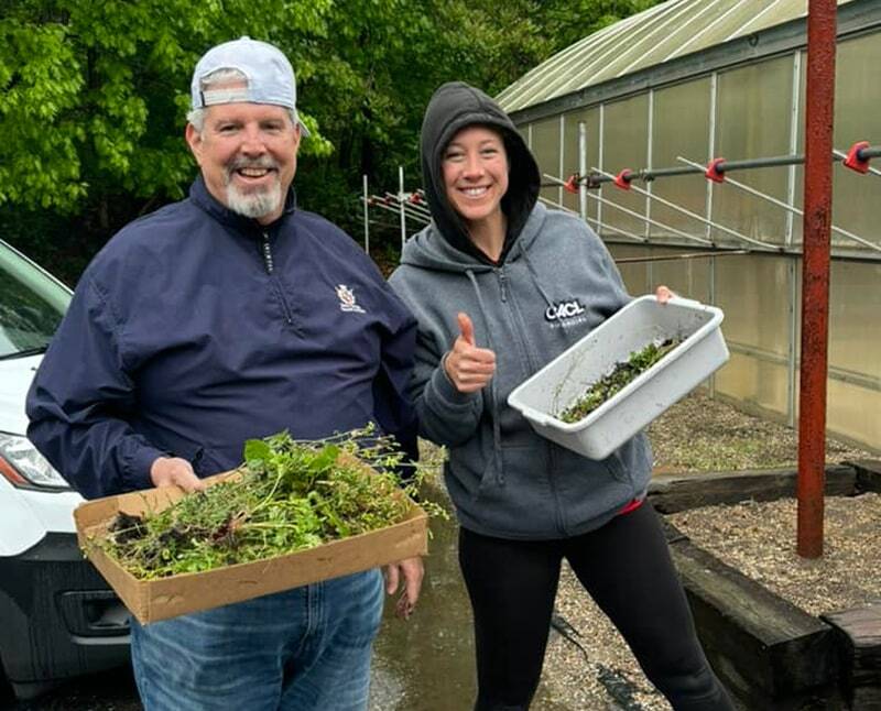 CACL Federal Credit Union | Banking, Loans and Serving Our Community